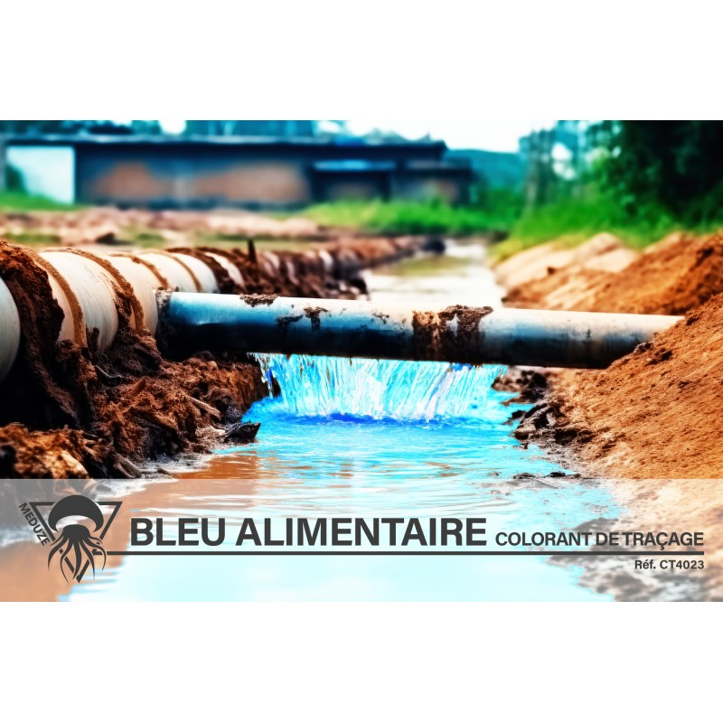 Bleu alimentaire concentré 1L